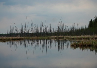 Why protect wetlands?