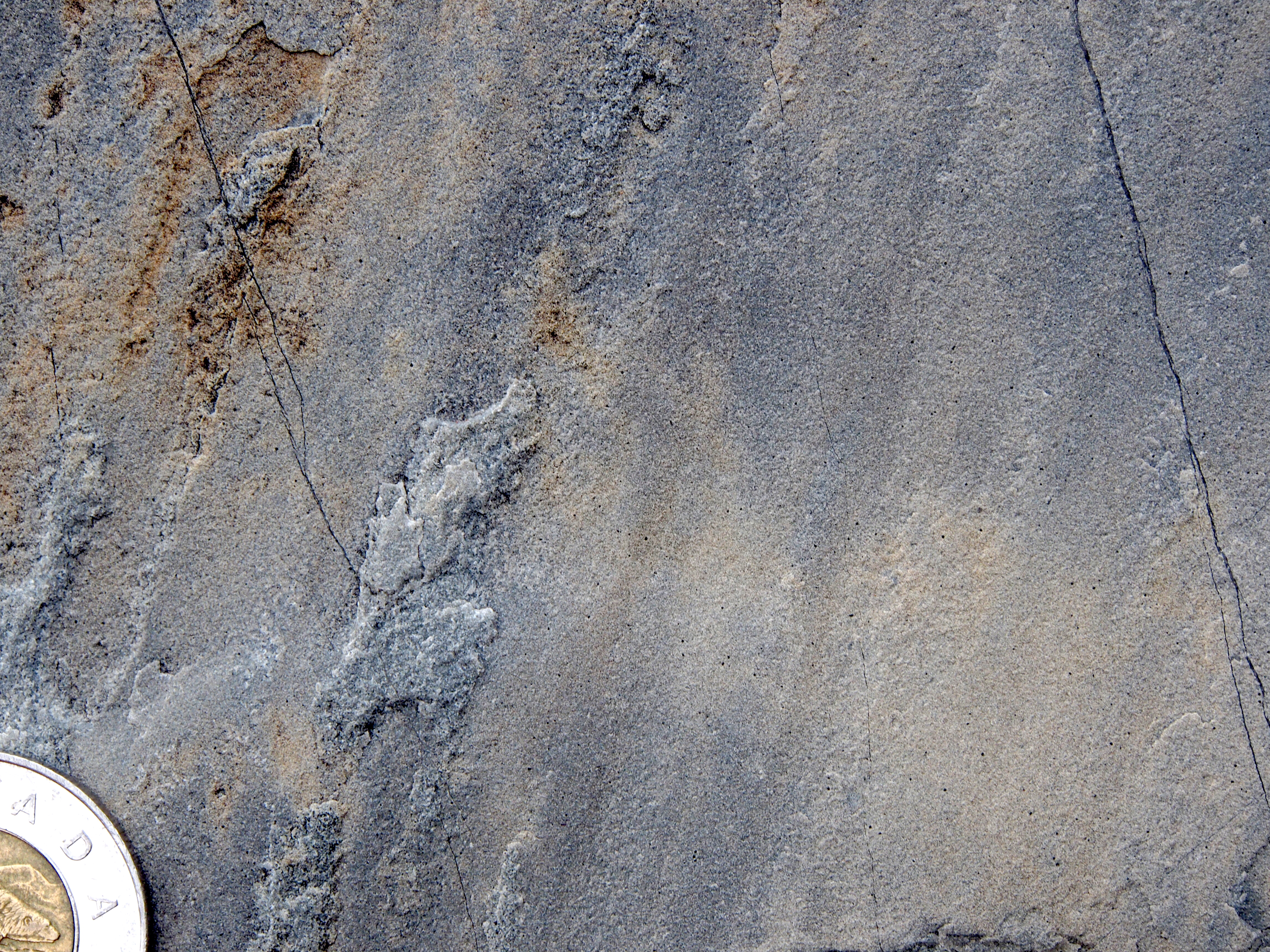 Bedforms produced by currents