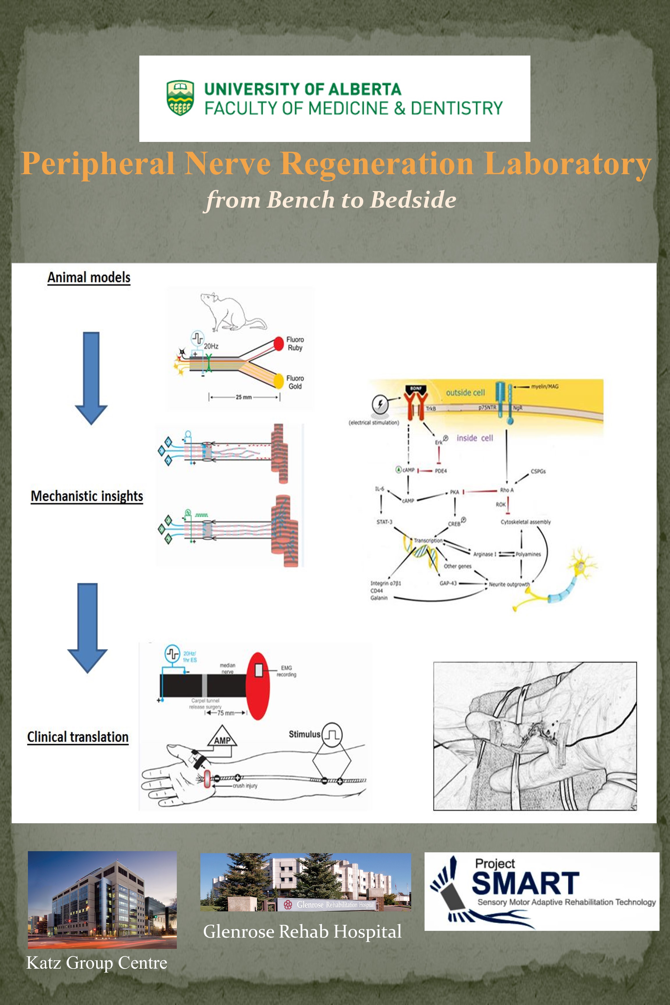 Publications-Chan Lab